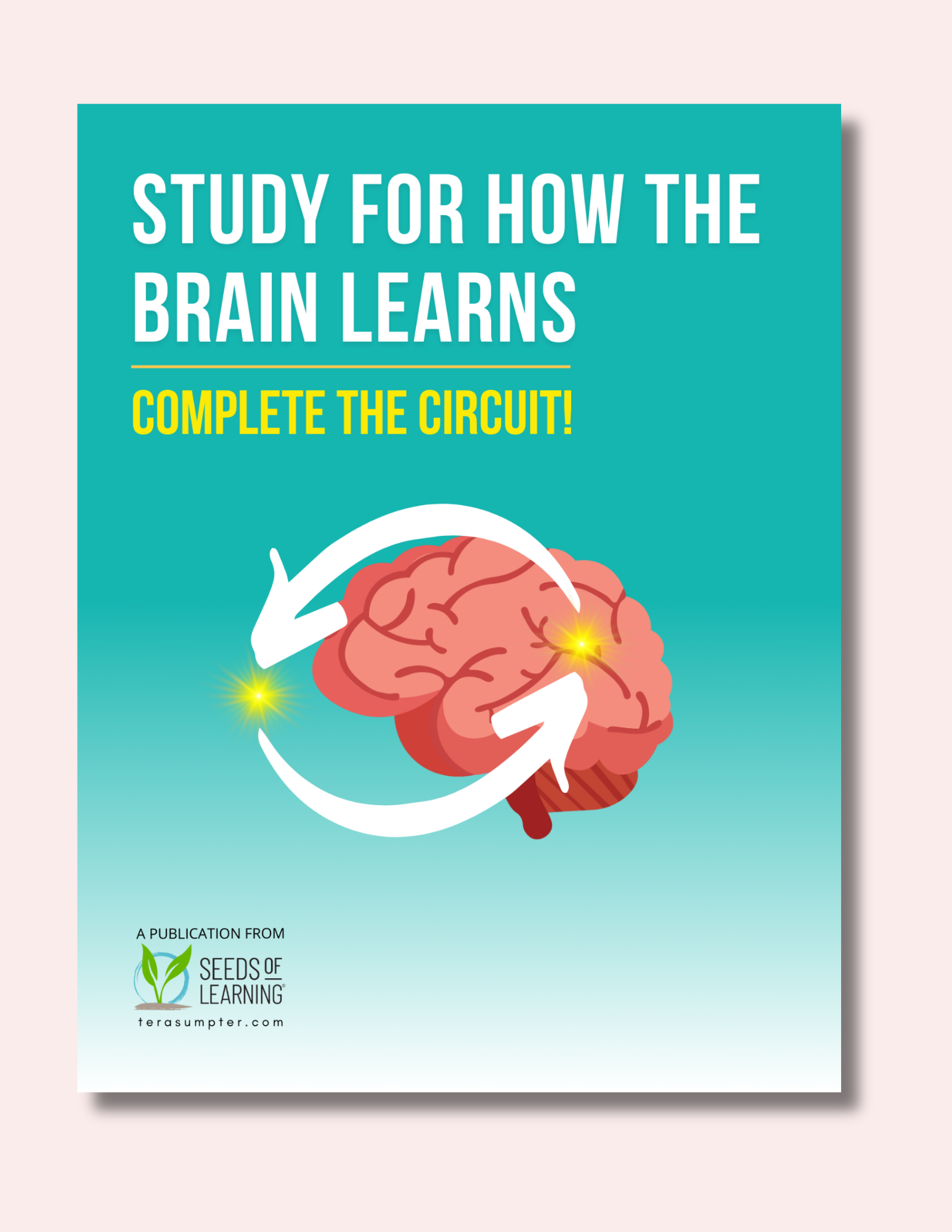 Studying–Completing the Circuit Digital Download – Seeds of Learning