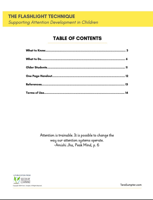 Attention Guide: The Flashlight Technique Digital Download – Seeds of ...