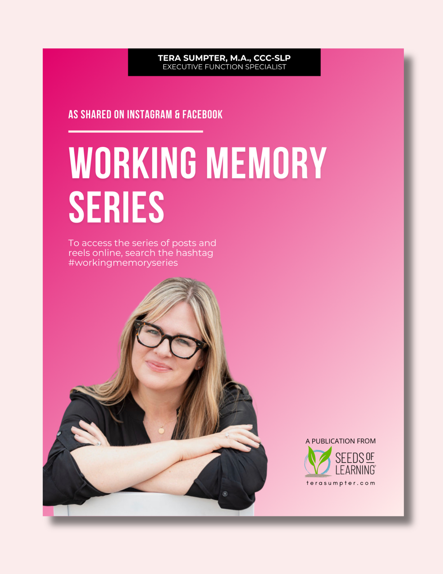 Working Memory Handout Digital Download – Seeds of Learning
